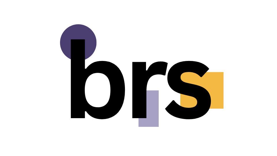 brs | Turn Your Data Into Insights